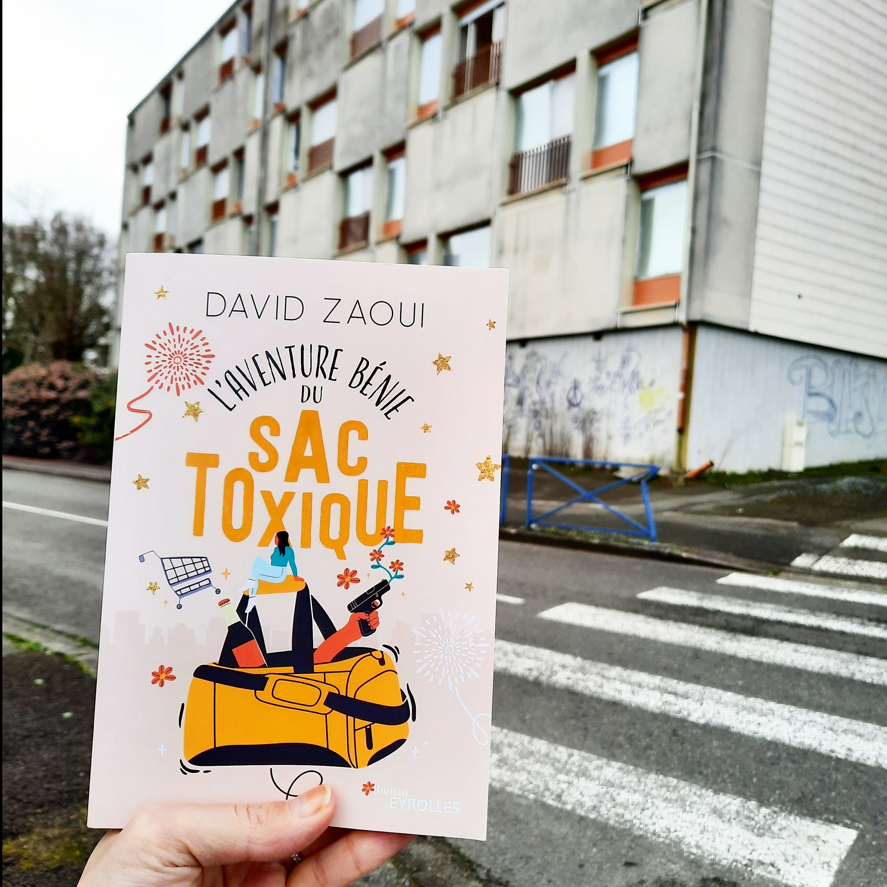 Livre : « L’aventure bénie du sac toxique » de David Zaoui – Elle et ...