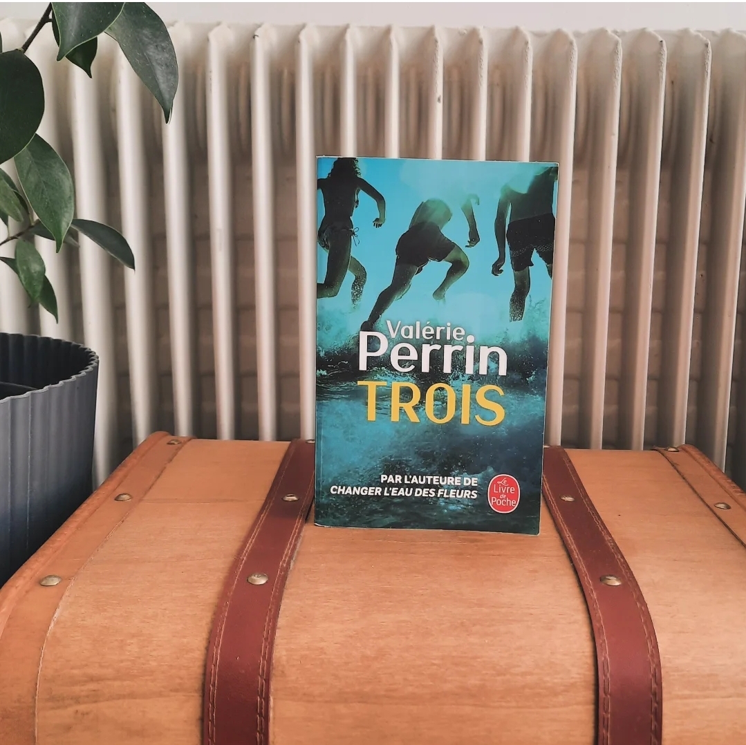 Livre : Trois de Valérie Perrin — Un roman sur l’amitié, la différence ...